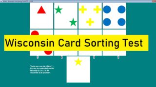 Wisconsin Card Sorting Test – Testmanager MINDS