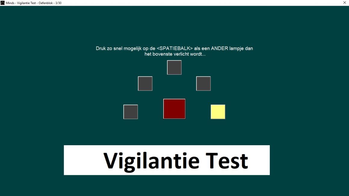VIG: Vigilantie Test – Testmanager MINDS